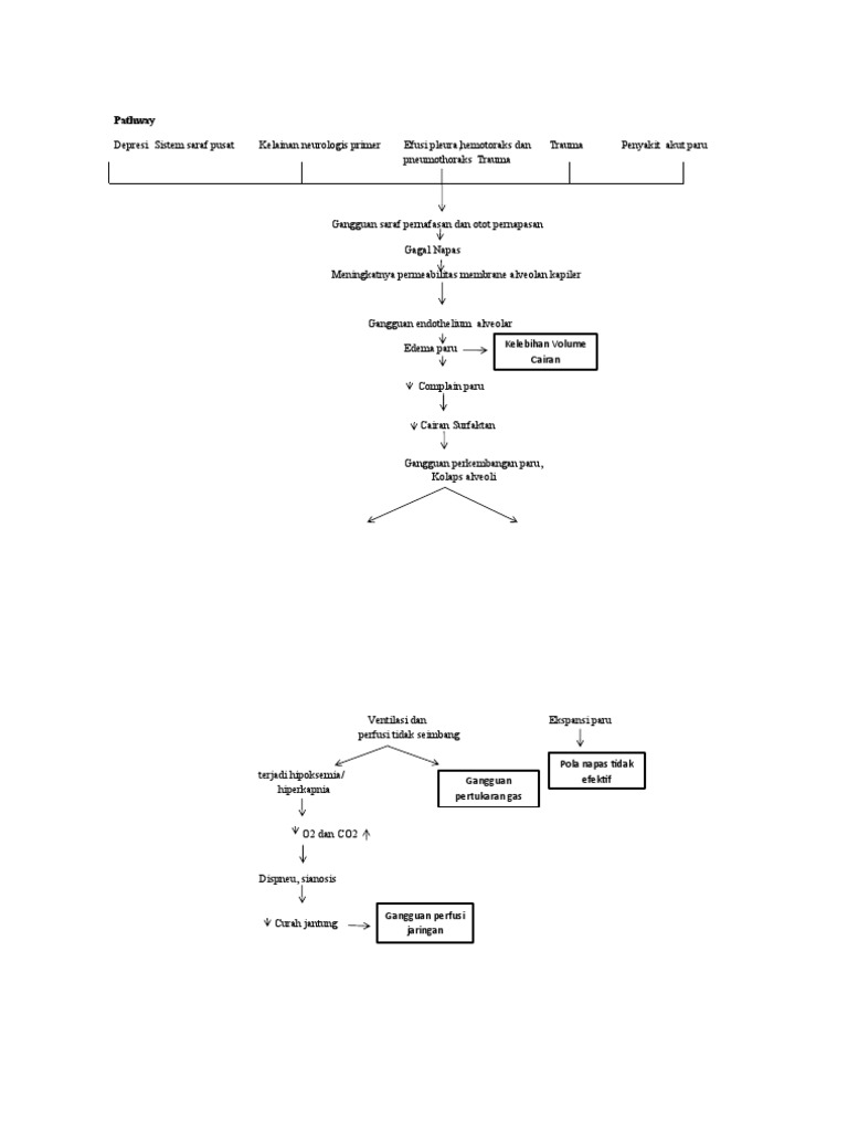 Pathway Gagal Napas | PDF
