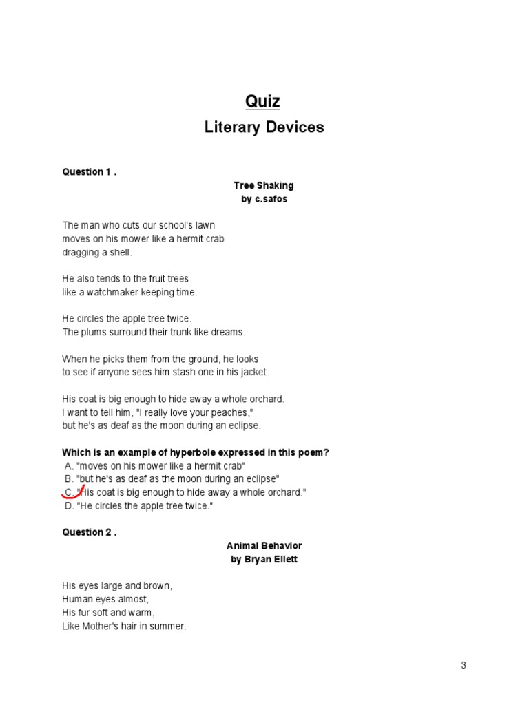 Literary Devices Quiz | PDF | To Kill A Mockingbird