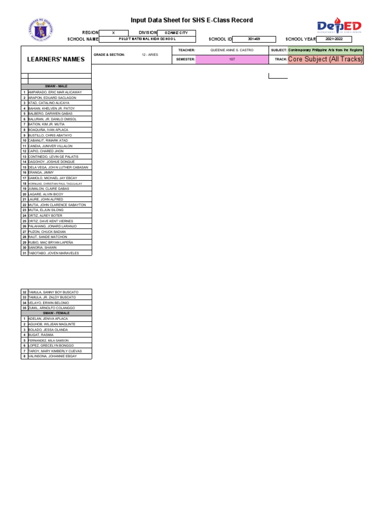 Input Data Sheet For SHS E-Class Record: Learners' Names | PDF