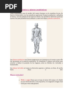 Simetría y Planimetría Corporal | PDF