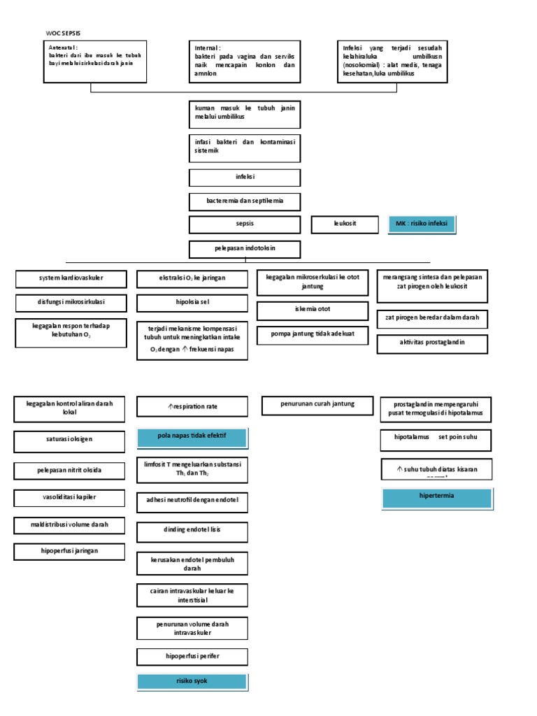 Woc Sepsis Fix | PDF
