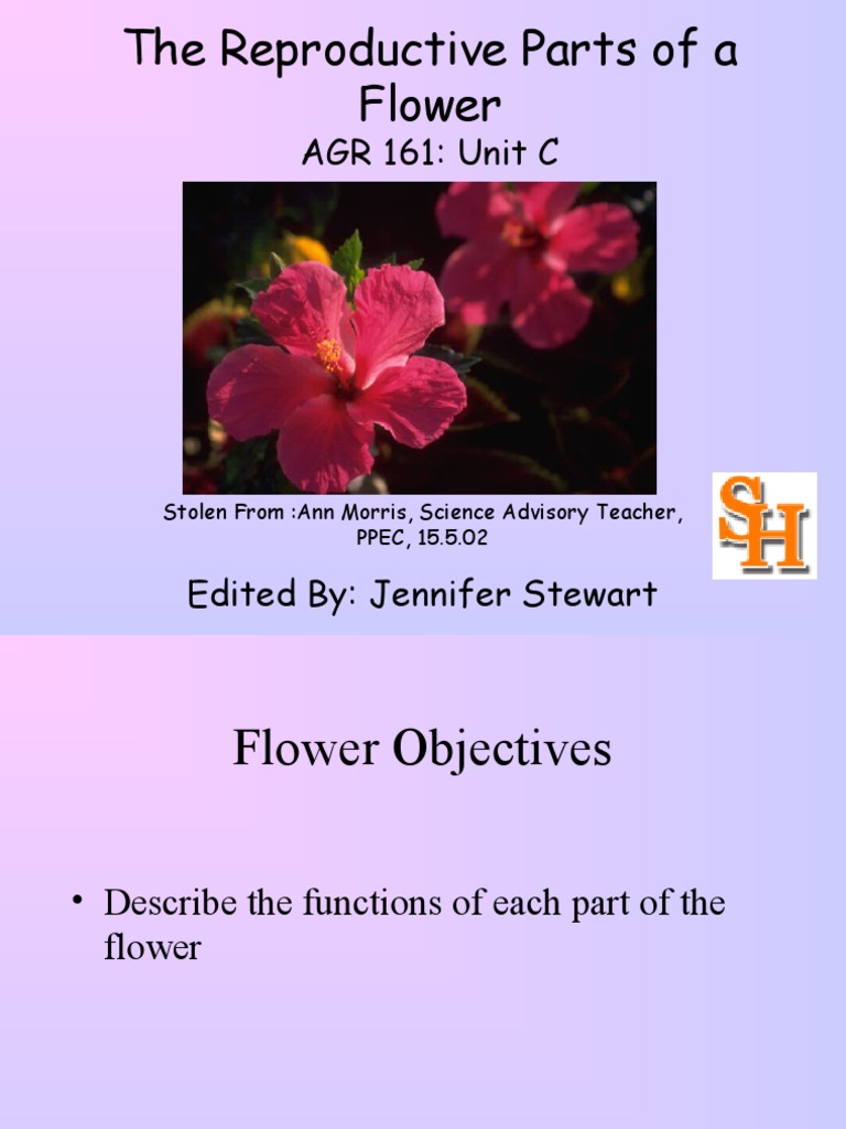 Flower Reproductive Parts Explained | PDF | Flowers | Plant Morphology