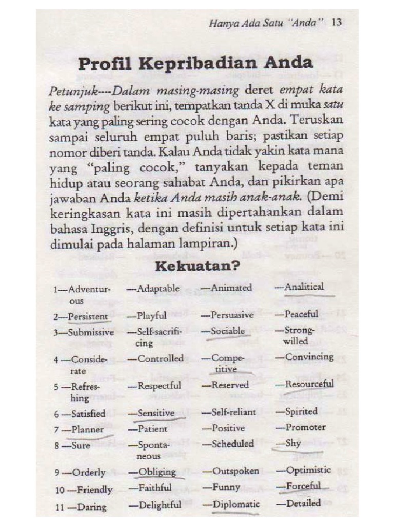 Personality Plus ++ | PDF
