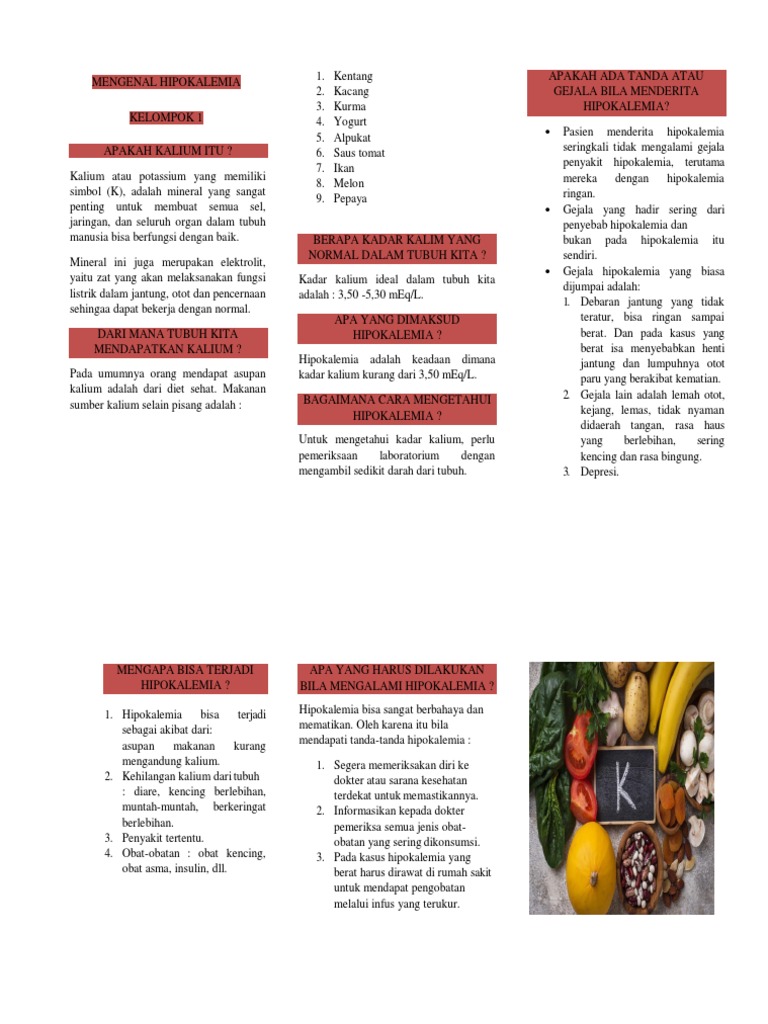 Leaflet Hipokalemia. 2 | PDF | Kesehatan Holistik