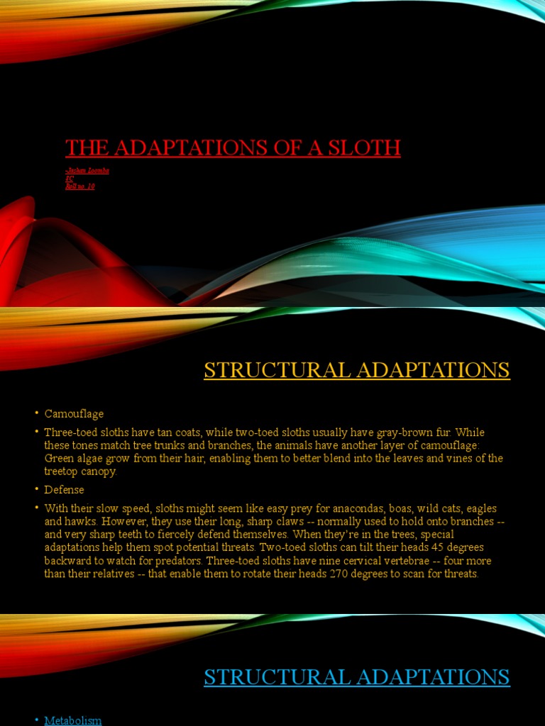 Sloth Adaptations Explained | PDF | Fur | Zoology