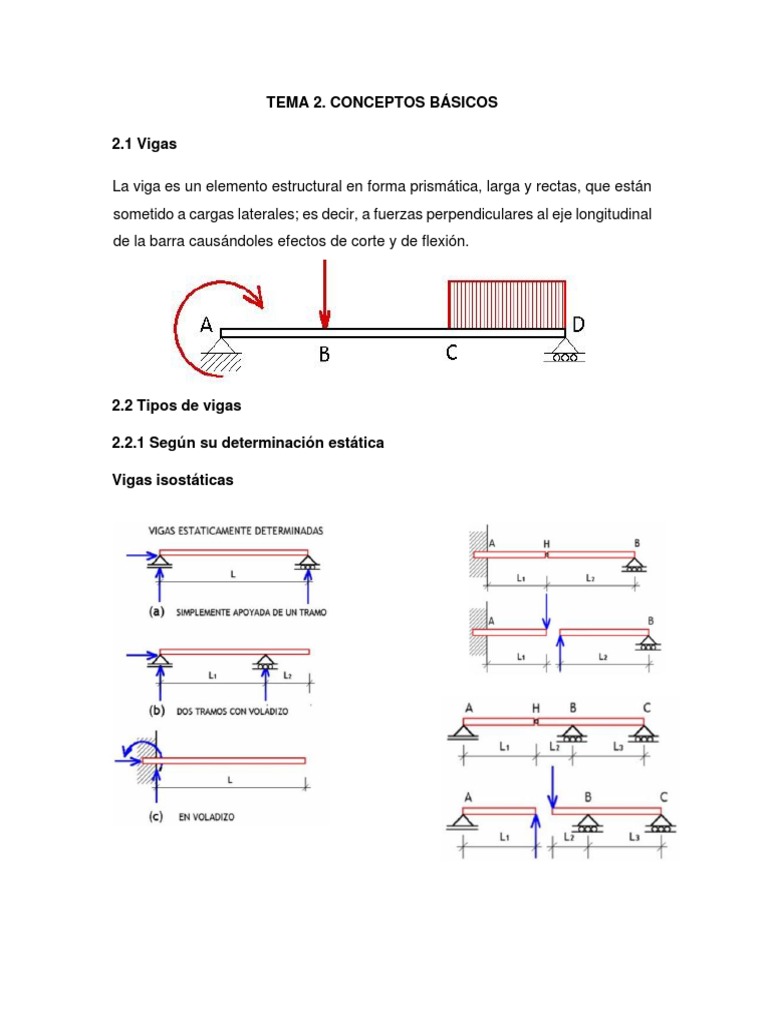 TEMA 2. Conceptos Básicos | PDF