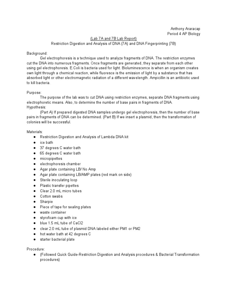 DNA Restriction Digest and Analysis Lab | PDF | Gel Electrophoresis ...