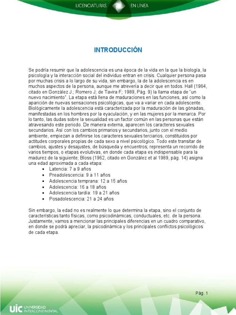 Act - 3.3 - Entrevista A Un Adolescente | PDF | Adolescencia ...