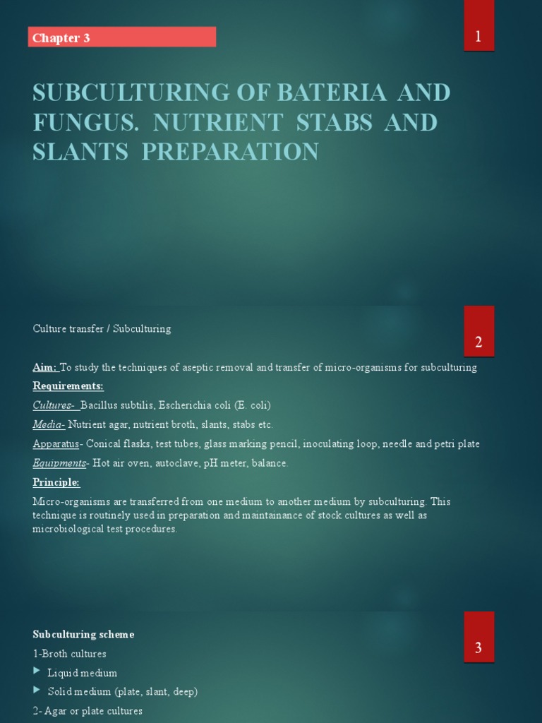 3 Subculturing of Bacteria and Fungus - Stab and Slant Prepartn | PDF ...