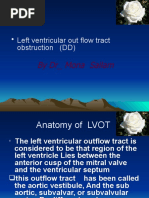 IAC Standards and Guidelines For Adult Echocardiography Accreditation ...