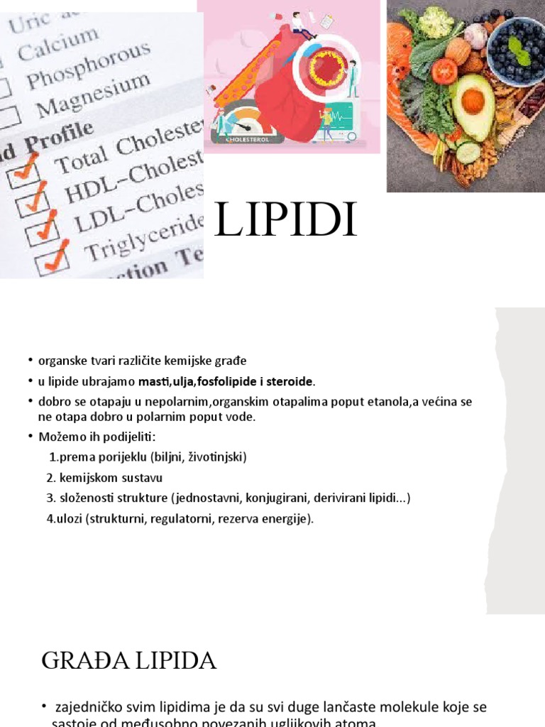 LIPIDI | PDF