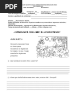 LOS ECOSISTEMAS. Sopa de Letras | PDF