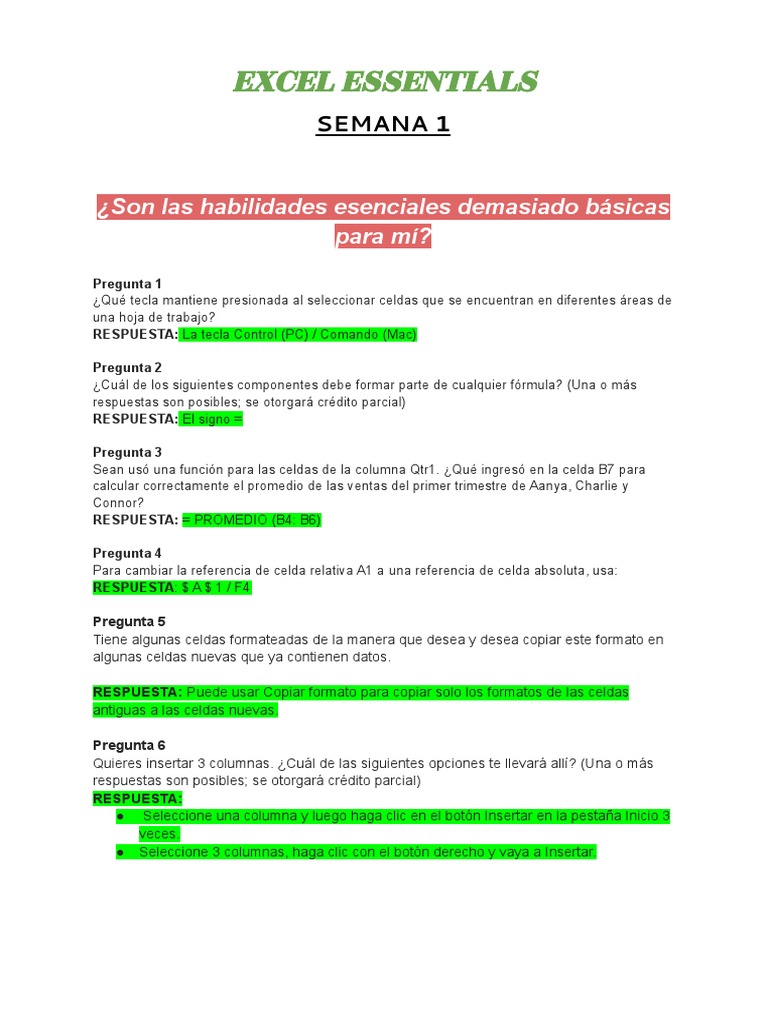 Final Excel | PDF | Microsoft Excel | Hoja de cálculo