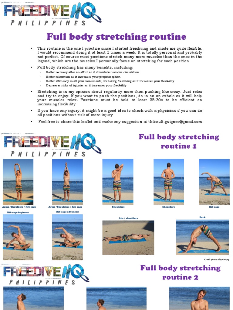 Full Body Stretching Routine | Download Free PDF | Anatomical Terms Of ...