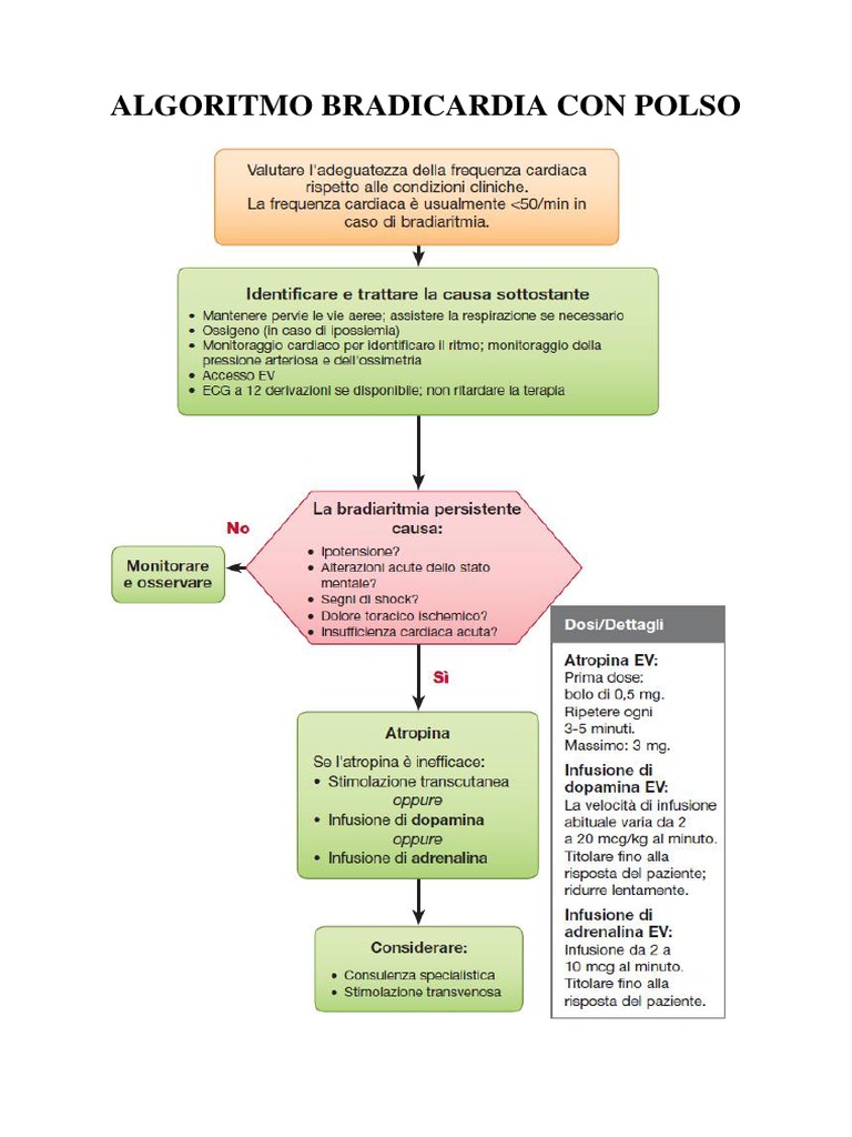 Algoritmo Bradicardia Con Polso | PDF