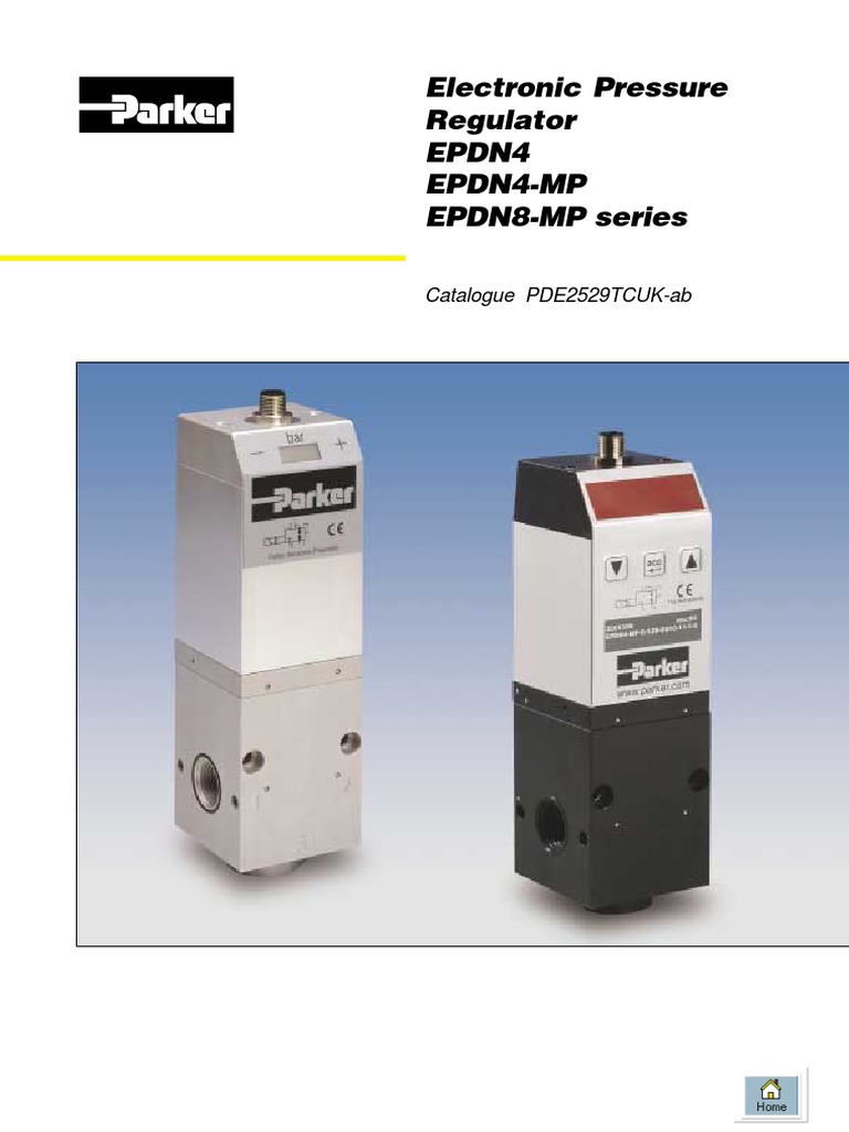 Regulator - Electronic Pressure | PDF | Parameter (Computer Programming ...