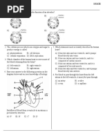 Cardiovascular Examination OSCE Checklist Geeky Medics | PDF ...