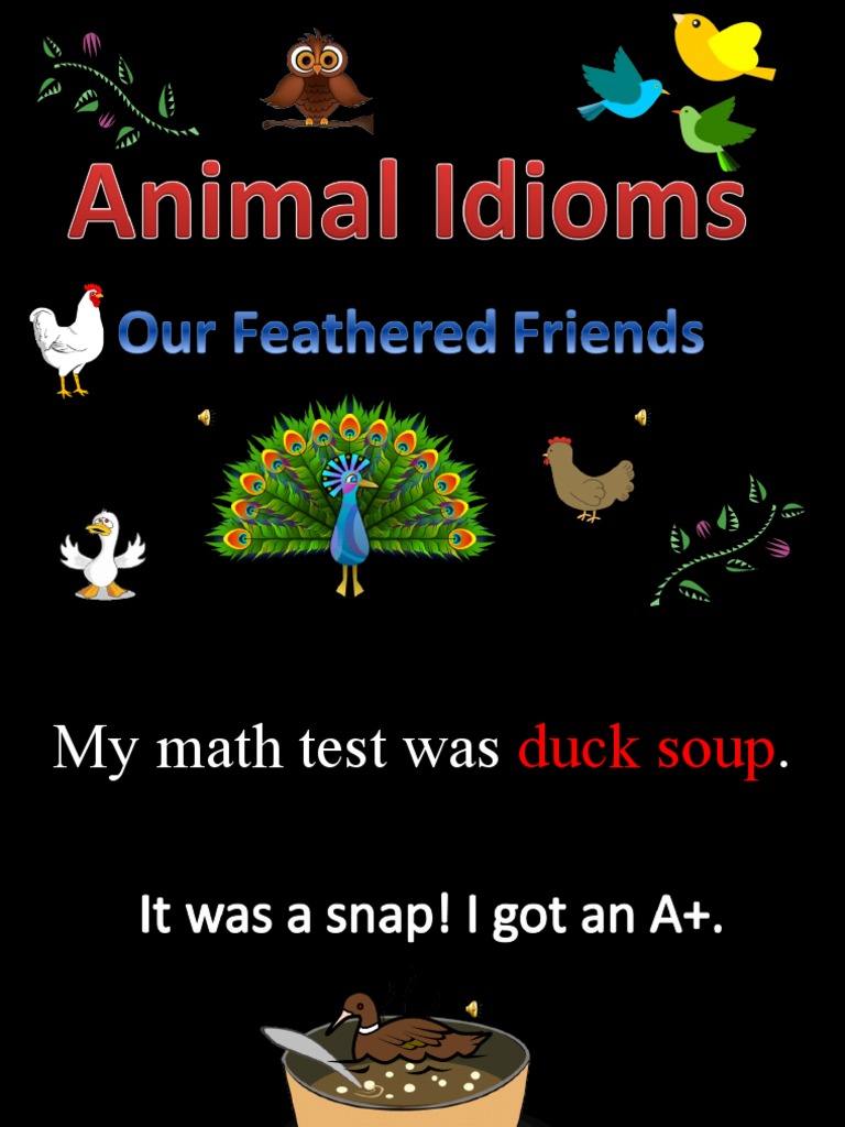 Fun Bird Idioms and Expressions | PDF | Mystery, Thriller & Crime ...