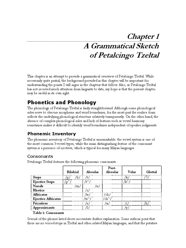 Petalcingo Tzeltal Grammar Overview | PDF | Syllable | Verb