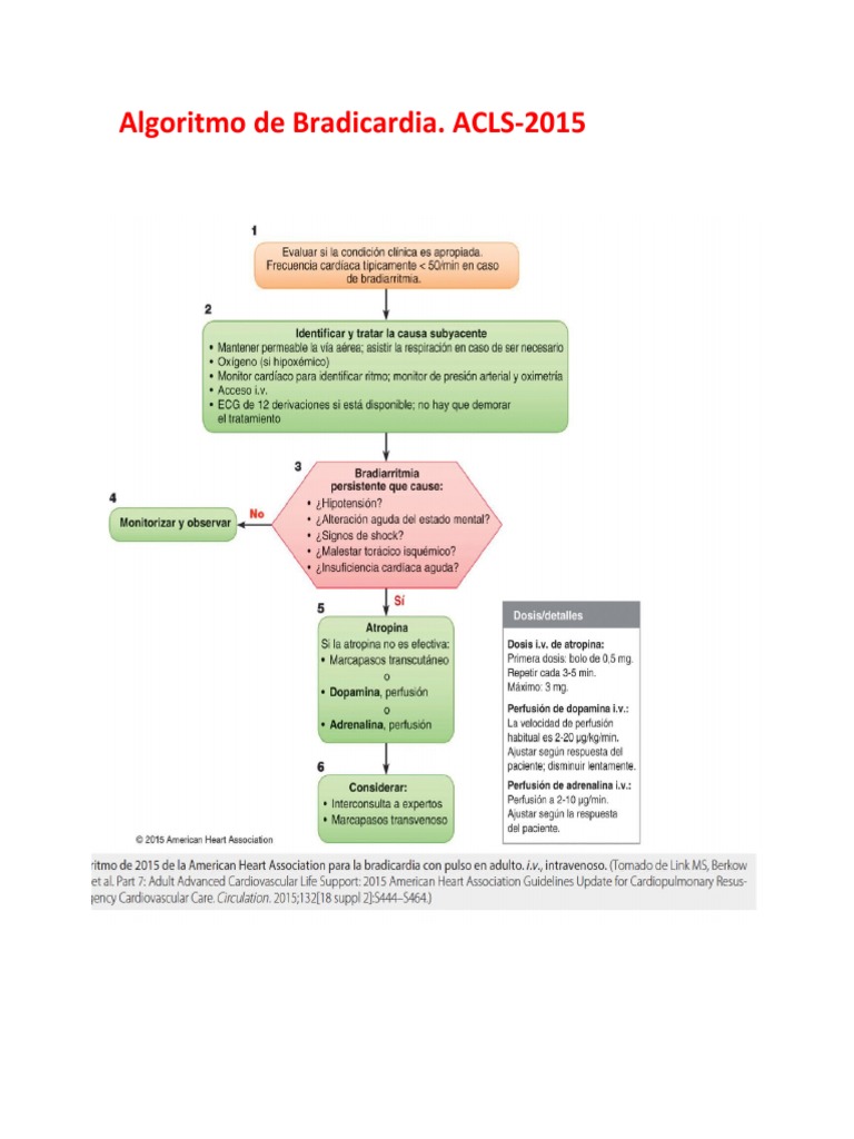Algoritmo de Bradicardia | PDF