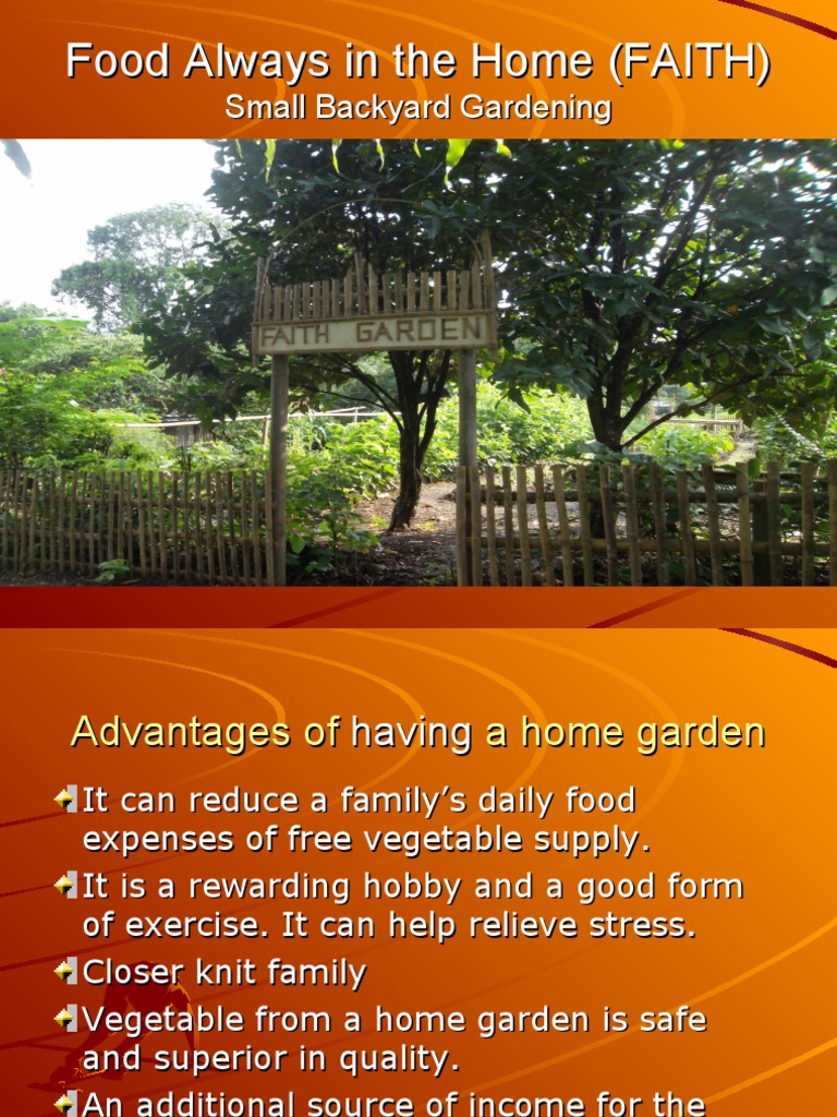 Faith Garden | PDF | Vegetables | Compost