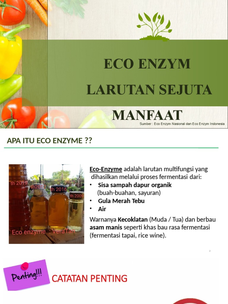 Paparan Eco Enzym | PDF