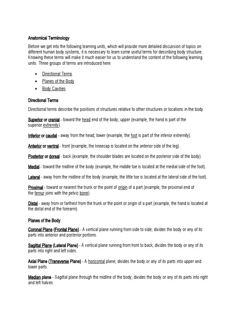 Anatomical Terminology | PDF | Anatomical Terms Of Location | Pelvis
