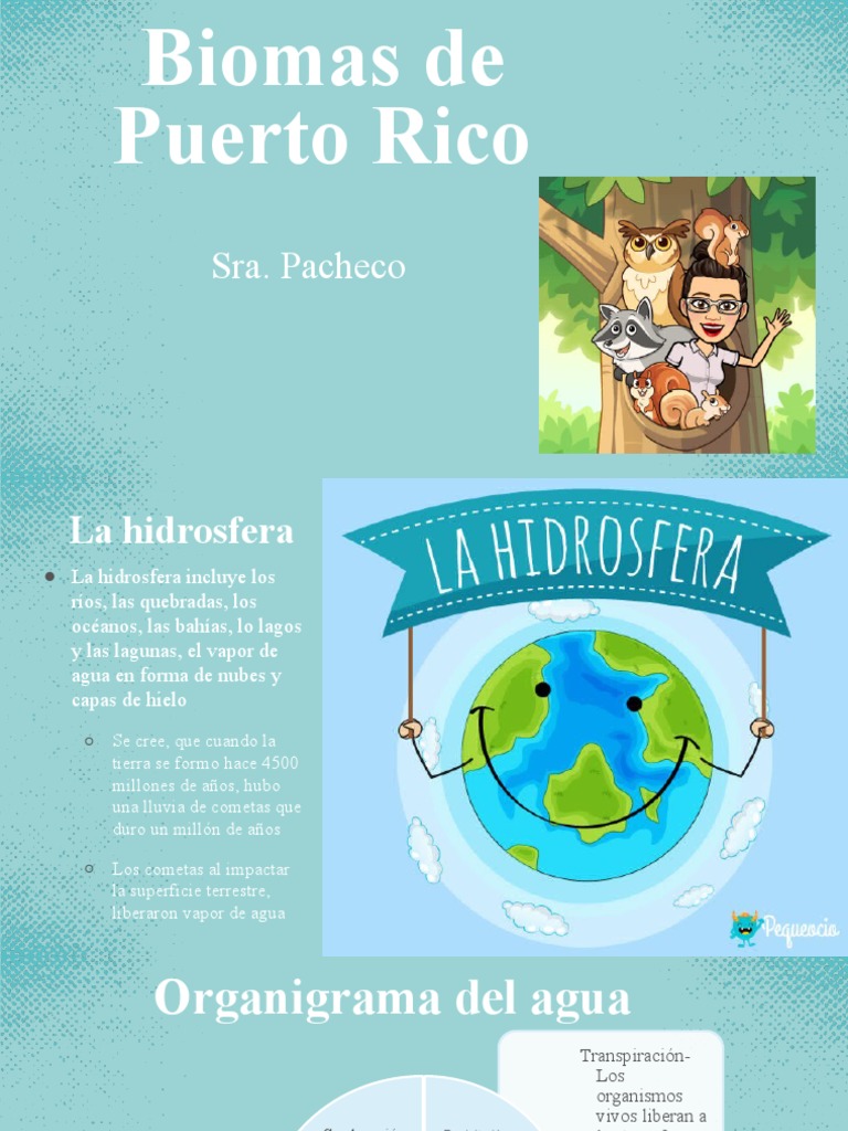 Biomas y ecosistemas de Puerto Rico | PDF | Tierra | Agua