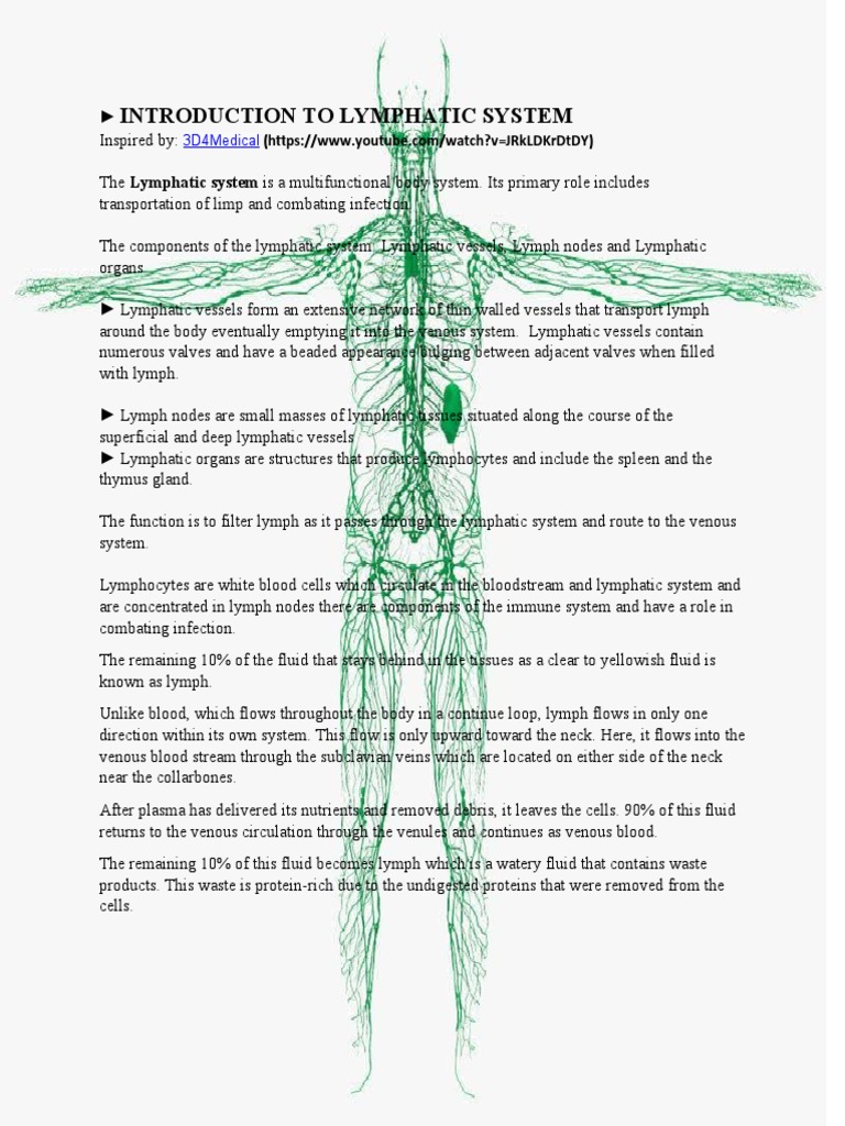 Introduction to the Lymph System | PDF | Lymphatic System | Lymph
