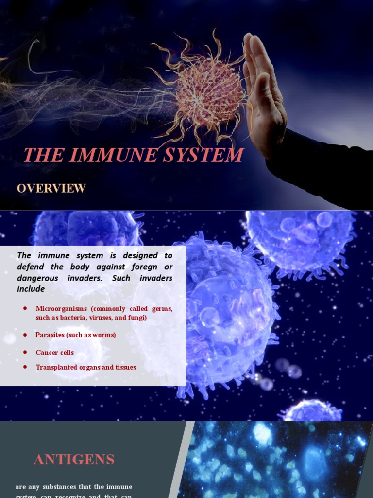 The Immune System | PDF | Immune System | Antigen