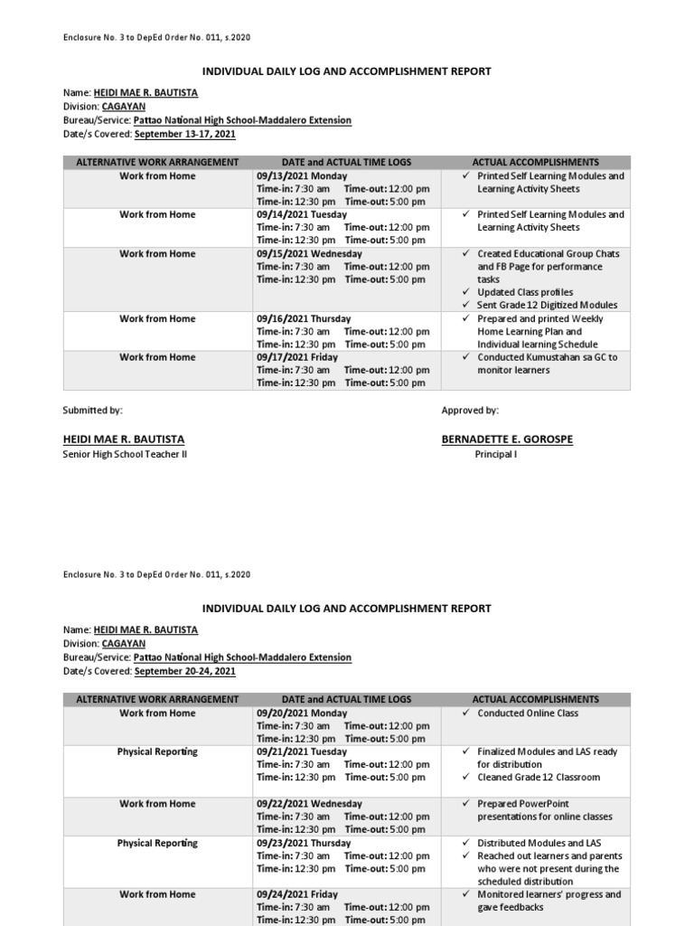 Individual Daily Log and Accomplishment Report | PDF | Learning ...