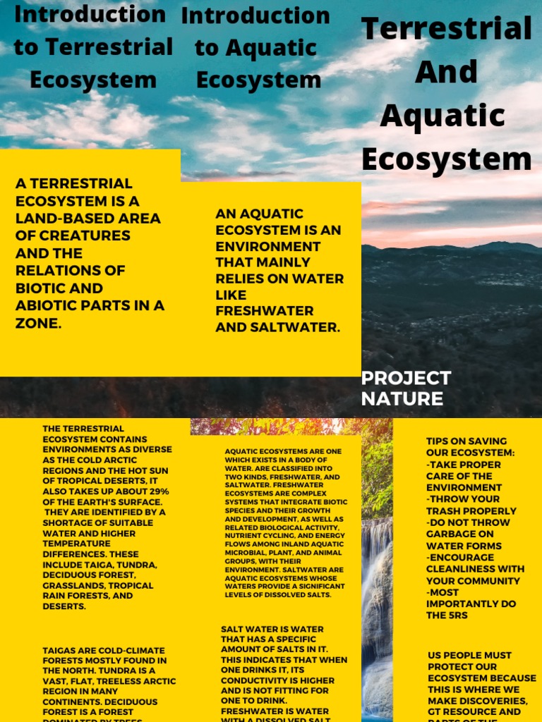Aquatic Ecosystem And Terrestrial Ecosystem Explained