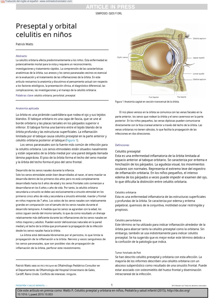 Celulitis preseptal y orbitaria en niños: anatomía, definiciones ...