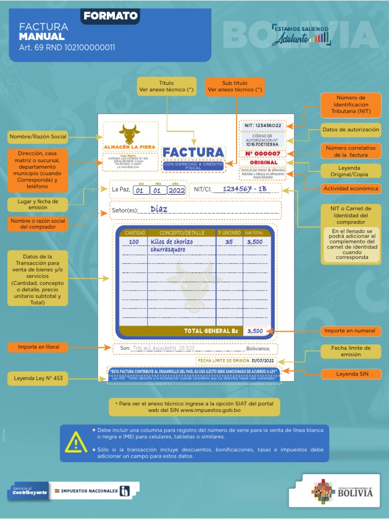 Quieres Conocer El Formato de TODOS LOS TIPOS DE FACTURA | PDF | Factura | Terapia física