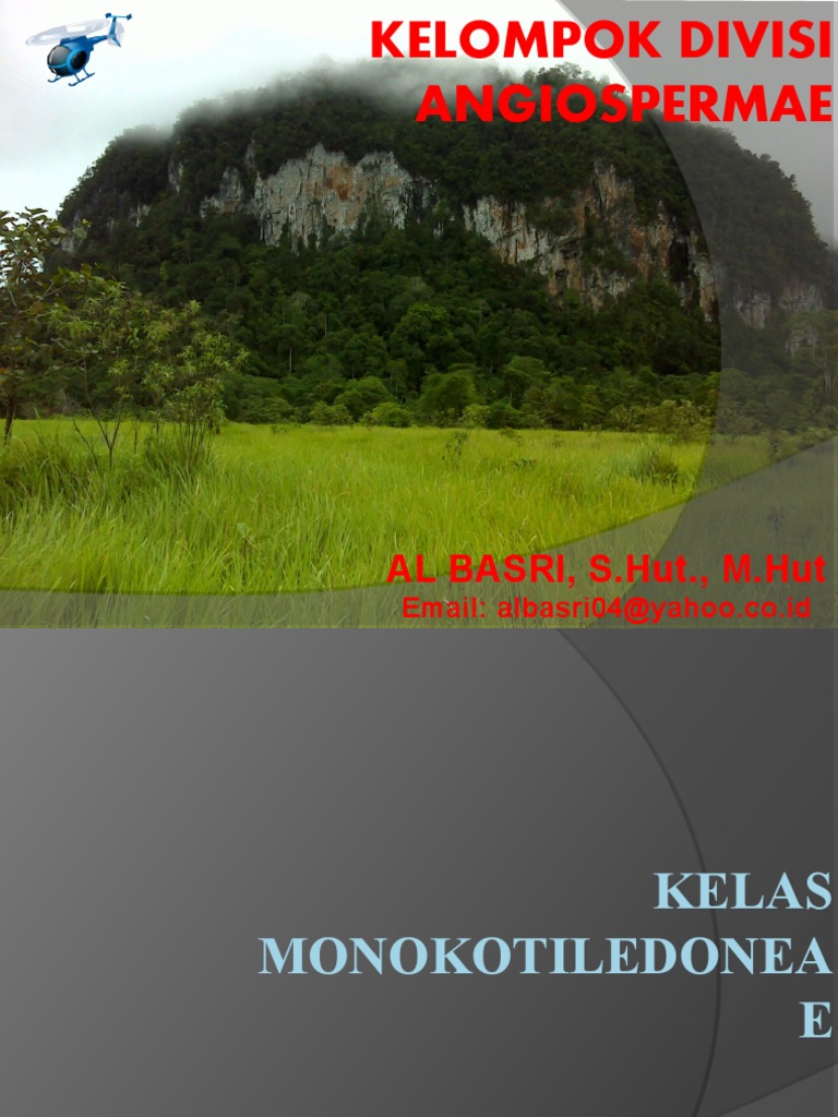 Dendrologi Hutan Kelompok Divisi Angiosp | PDF