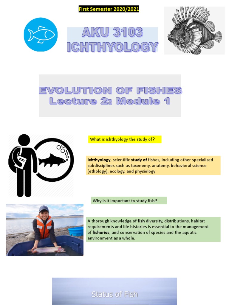 First Semester 2020/2021 | PDF | Vertebrates | Fish