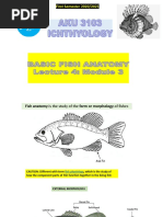 Endocrine System of Fish | PDF | Luteinizing Hormone | Endocrine System