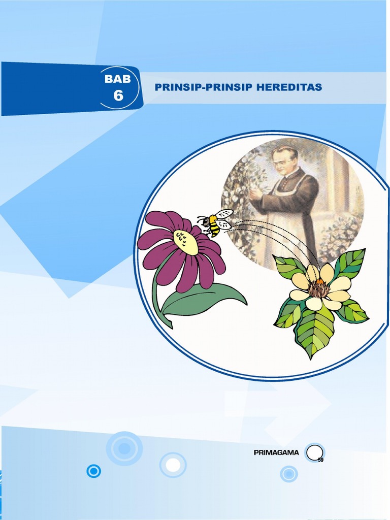 06 - Prins Hereditas | PDF