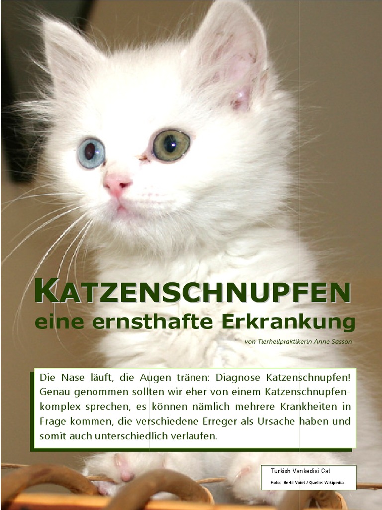 Katzenschnupfen Globuline 4 2010 Anne Sasson PDF