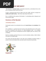 Cross Table Lateral Hip Positioning | PDF | Hip | Human Leg