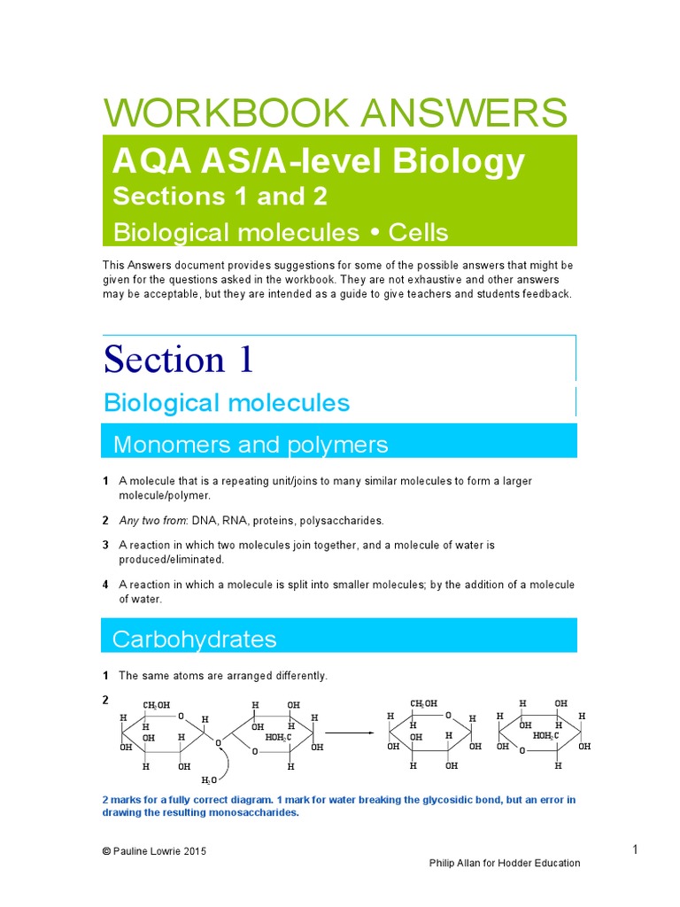 Biology AQA Biological Molecules Workbook Answers | PDF | Active Site ...