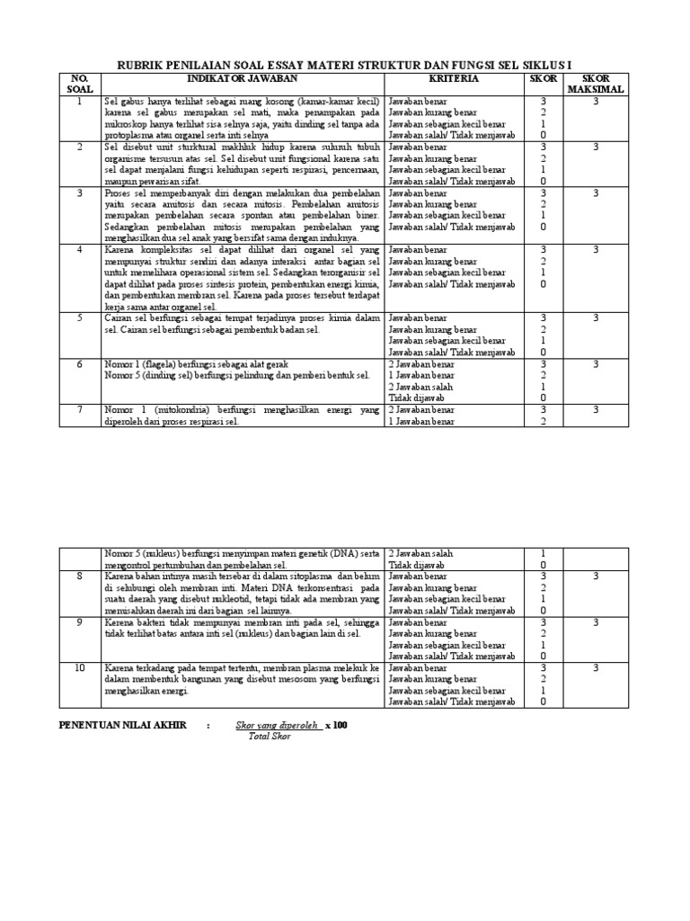 Rubrik Penilaian Soal Essay Siklus I & II | PDF