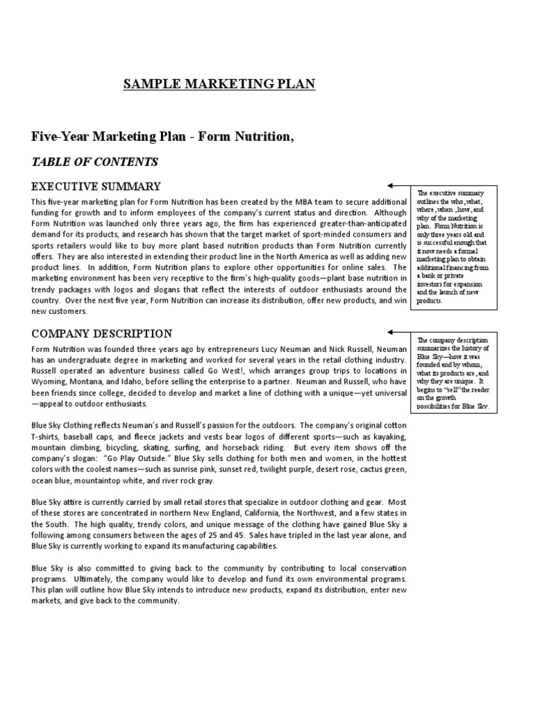Sample Marketing Plan: Executive Summary | Download Free PDF | Retail ...