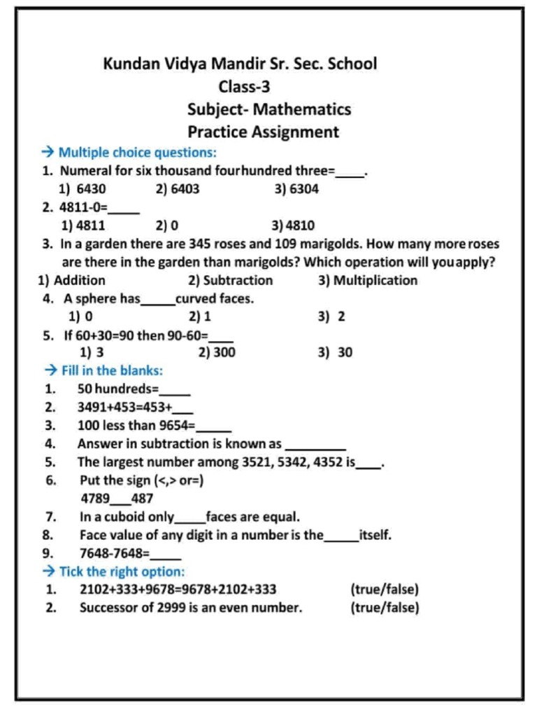 Practice Assignment Class 3 | PDF | Numbers | Subtraction