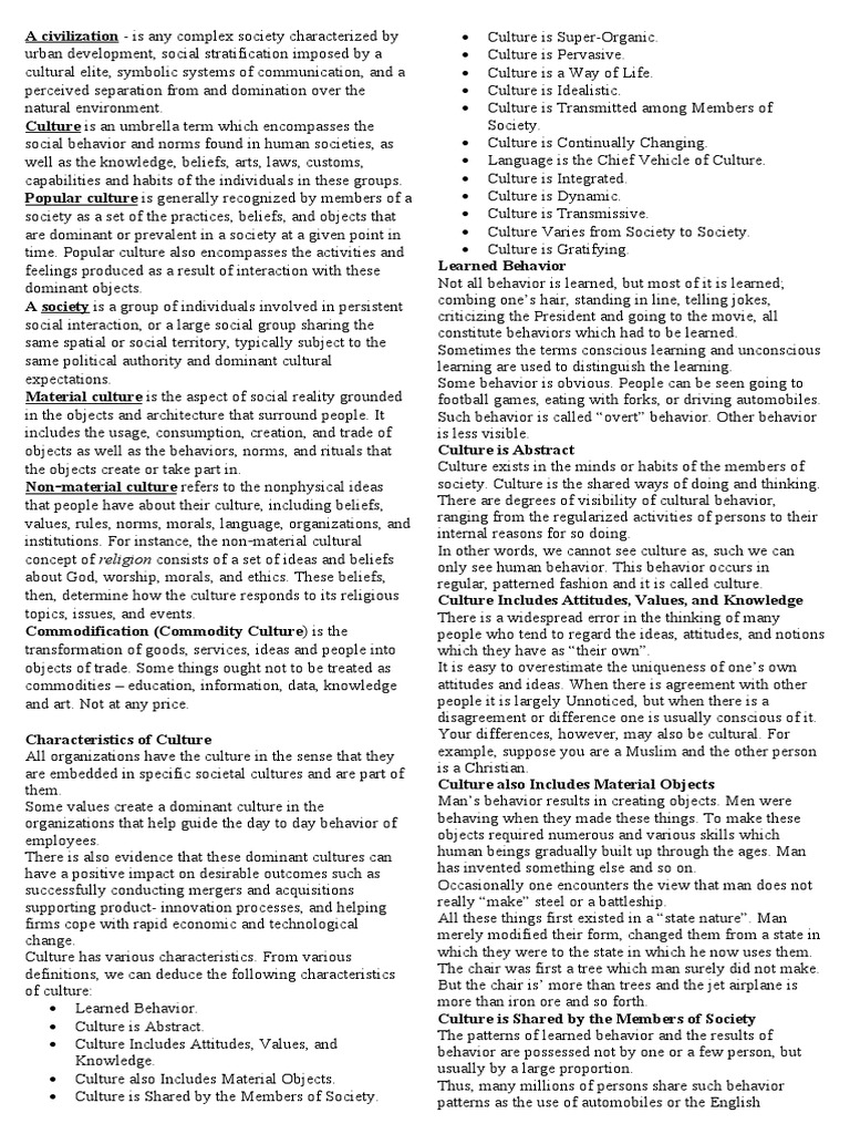 Popular Culture Handout | PDF | Organizational Culture | Value (Ethics)