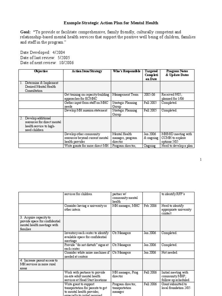 Example Mental Health Strategic Plan | PDF | Strategic Planning | Human ...