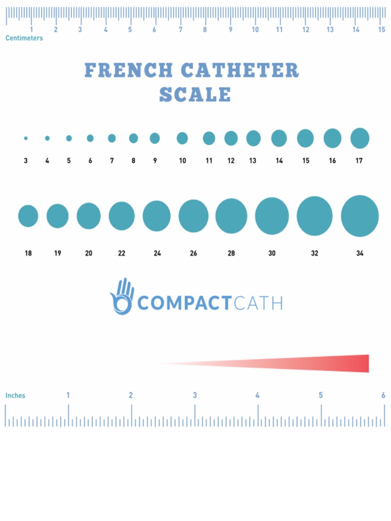Kidney - French-Catheter-Scale-1.png 6,944×6,944 Pixels | PDF