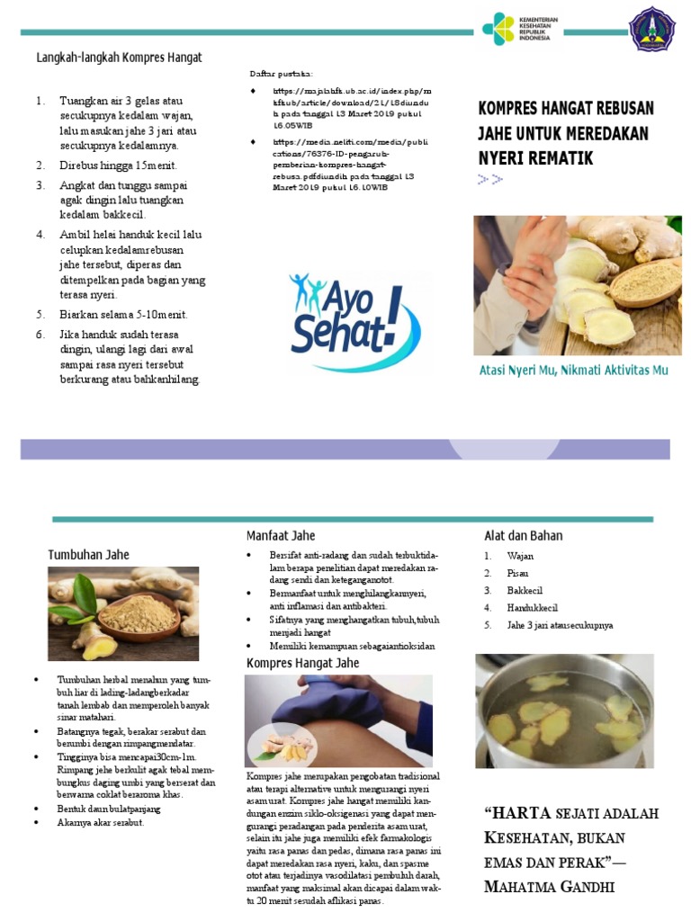 Leaflet Terapi Rebusan Jahe | PDF
