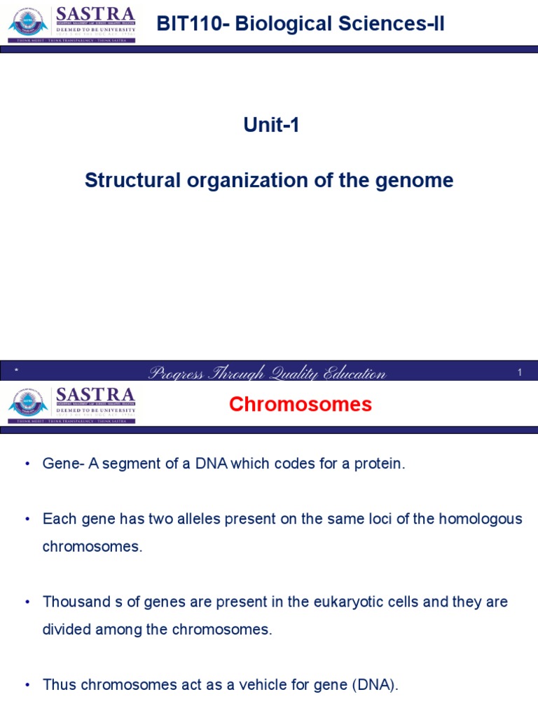 Unit 1 - Structural Organization of Chromosomes | PDF | Chromosome | Gene