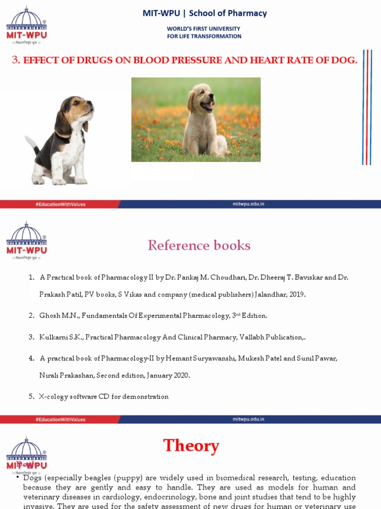 Effects of Drugs on Dog BP and Heart Rate | PDF | Acetylcholine | Blood ...